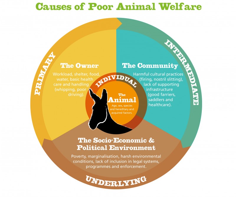 Click image for larger version