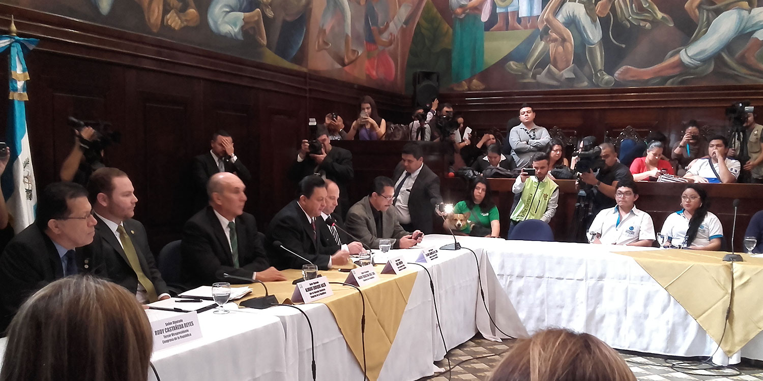 Guatemalan congress supports creation of animal welfare legislation ...