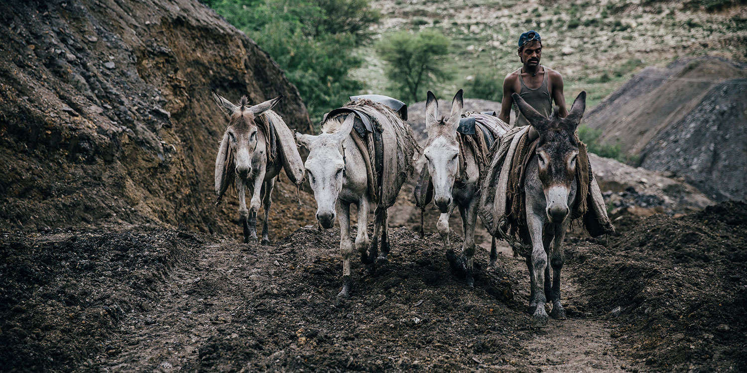 Pakistan's coal mine donkeys | Brooke