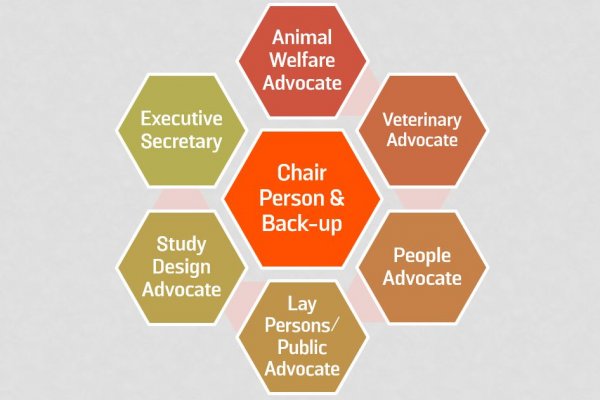 Our AWERB team meets monthly, though additional meetings may occur more ...