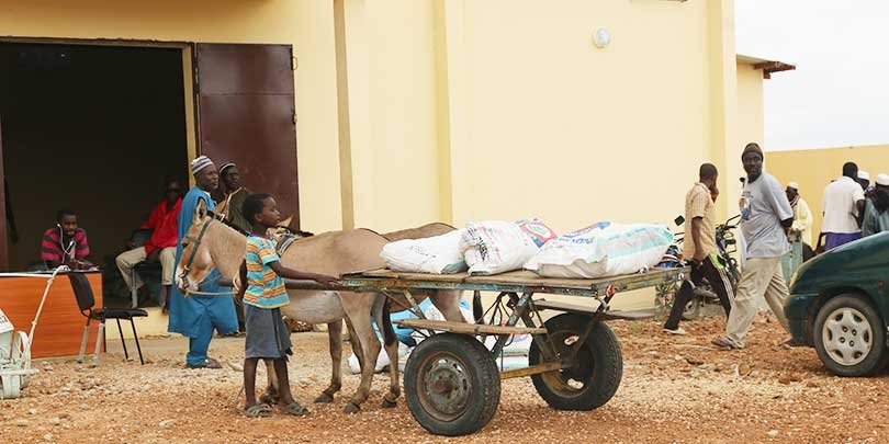 Eclosio are a Belgian NGO