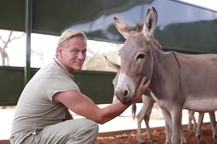 Amazon UK must urgently ban sale of donkey skin products | Action for ...